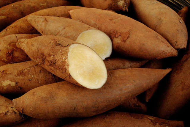Suco de batata yacon para diabetes - Tua Saúde