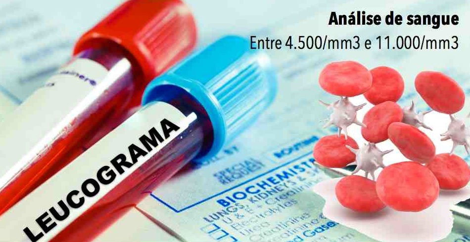 Leucograma Segmentados Livro Eletrônico Aula 00