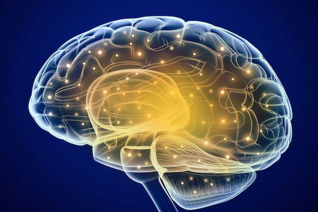 Retardo mental: o que é, causas e como identificar - Tua Saúde