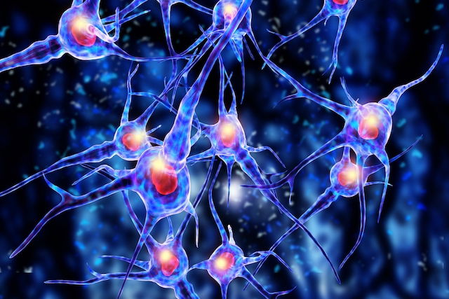 Doença de Machado Joseph: o que é, sintomas e tratamento - Tua Saúde