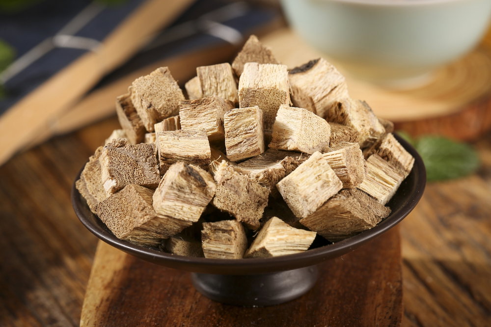 Kudzu: Health Benefits & How to Use It (Tea, Capsules & Powder) - Tua Saúde