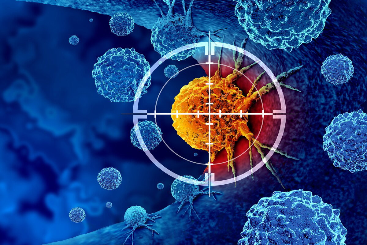 Système immunitaire: c'est quoi, fonctionnement et réponse immunitaire ...