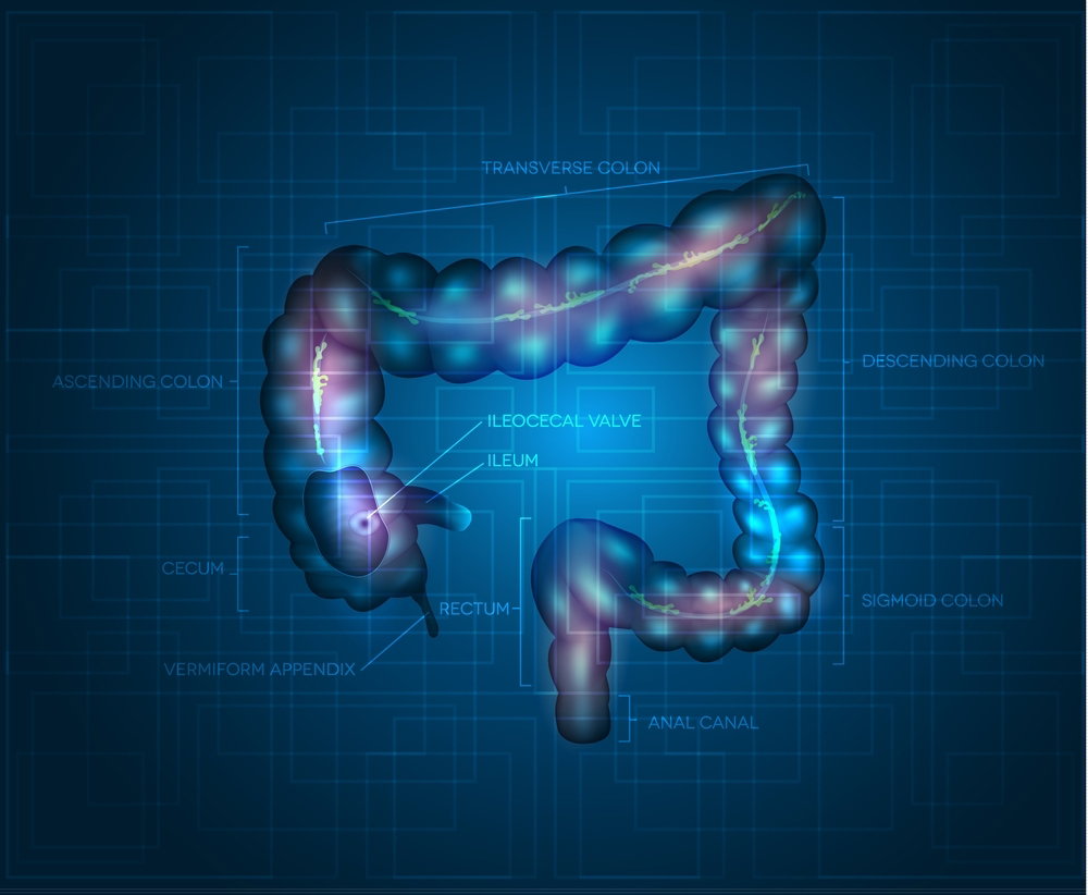 Fístula perianal: o que é, sintomas, tratamento e cirurgia - Tua Saúde