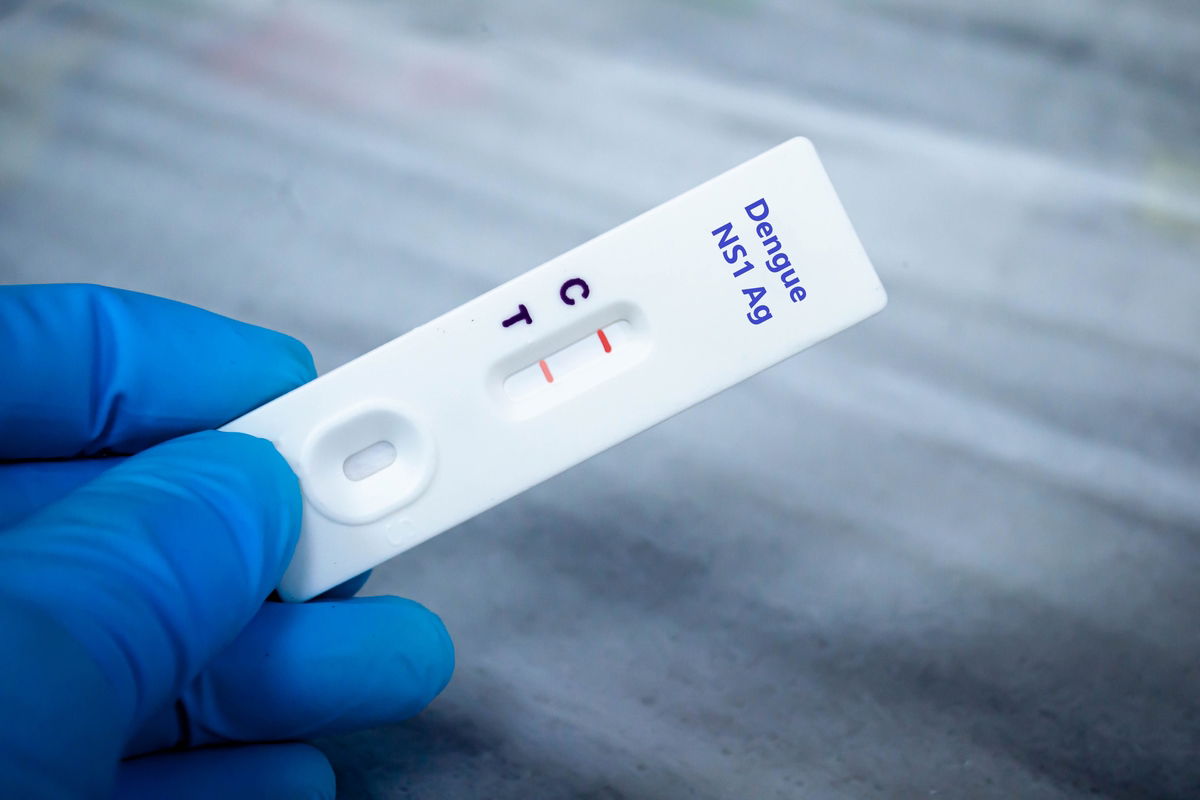 Teste de dengue de farmácia: como é feito, quando fazer e resultados ...