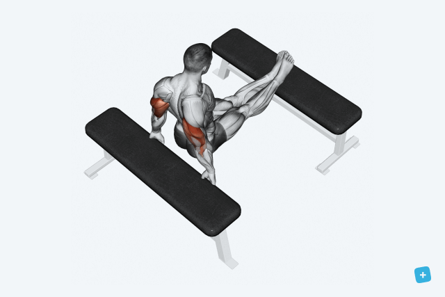 12 Tricep Exercises: Home & Gym Exercises (w/ Cooldown) - Tua Saúde