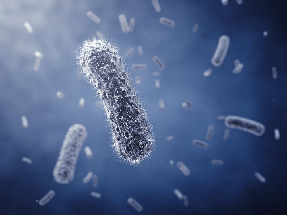 Mucus In Stool: 11 Causes (& What It Means) - Tua Saúde