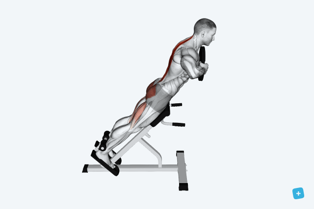 10 Hamstring Exercises (for Gym & Home Workouts) - Tua Saúde