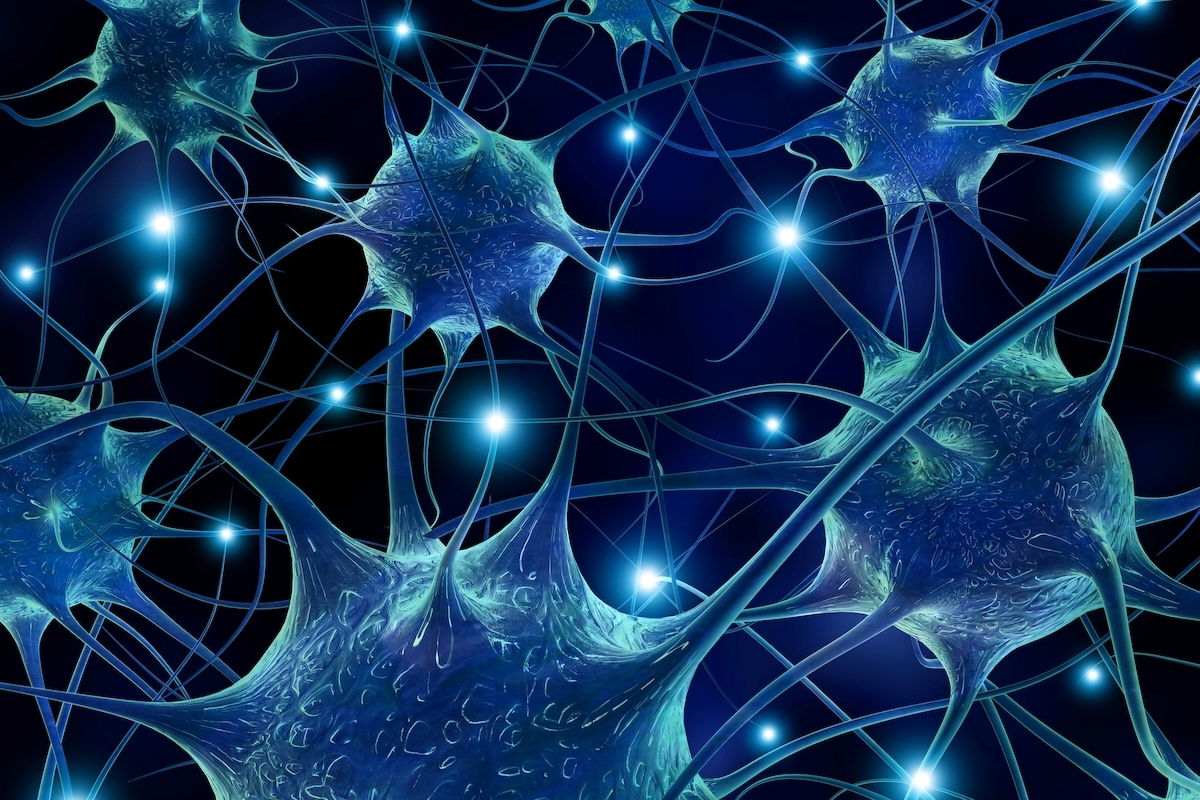 Acetilcolina: o que é, funções e doenças relacionadas - Tua Saúde