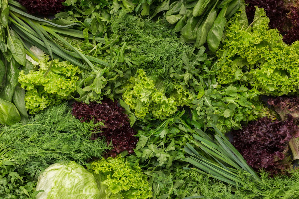 Quelites: beneficios, propiedades y cómo consumir - Tua Saúde