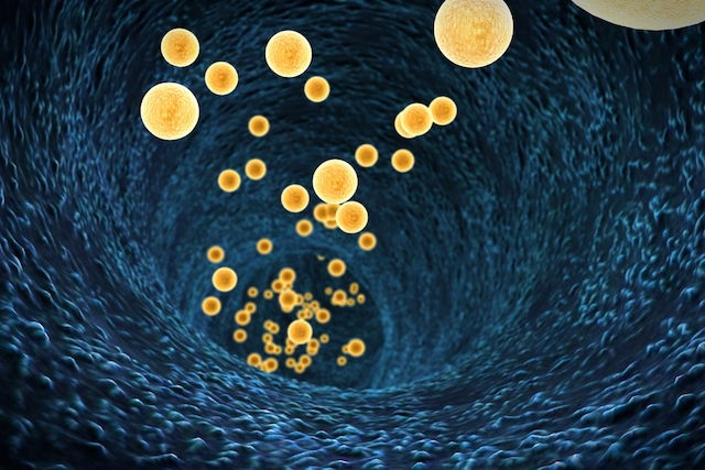 Psicobióticos: o que são, benefícios e como funcionam - Tua Saúde