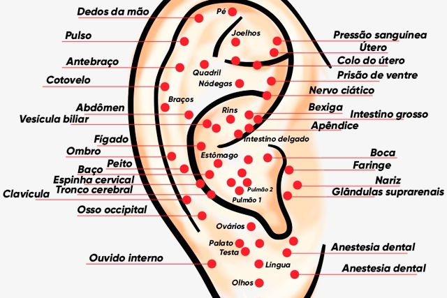 Pós-graduação USCS - Os 10 principais pontos da acupuntura no corpo☣️ ... Pós-graduação USCS - Os 10 principais pontos da acupuntura no corpo☣️ ...