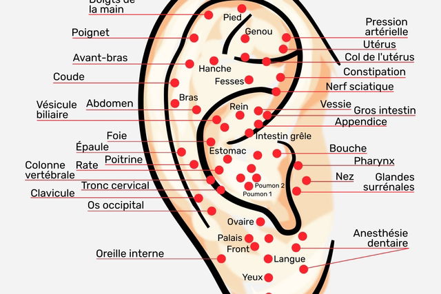 Auriculothérapie : technique, bienfaits et indications - Tua Saúde