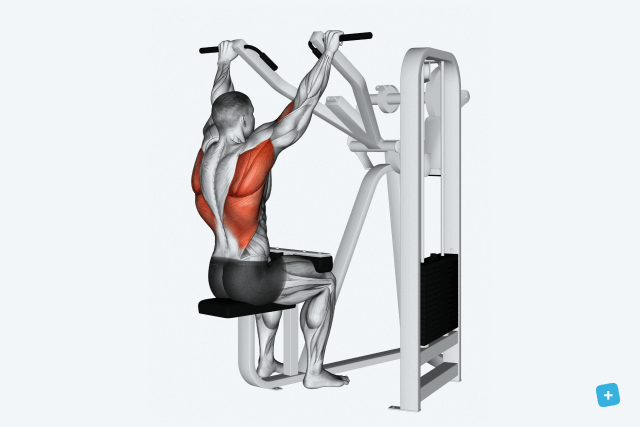 Complete Back Workout: 12 Back Exercises for the Gym (w/ Demos) - Tua Saúde