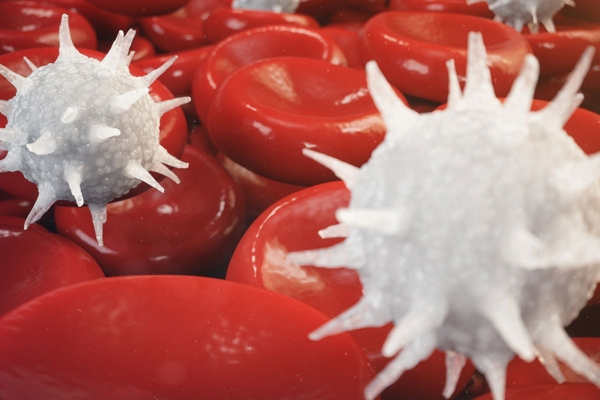 Neutrofilia: o que é, principais causas (e o que fazer) - Tua Saúde