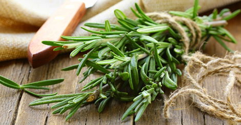 Alecrim: para que serve, propriedades (e como usar) - Tua Saúde
