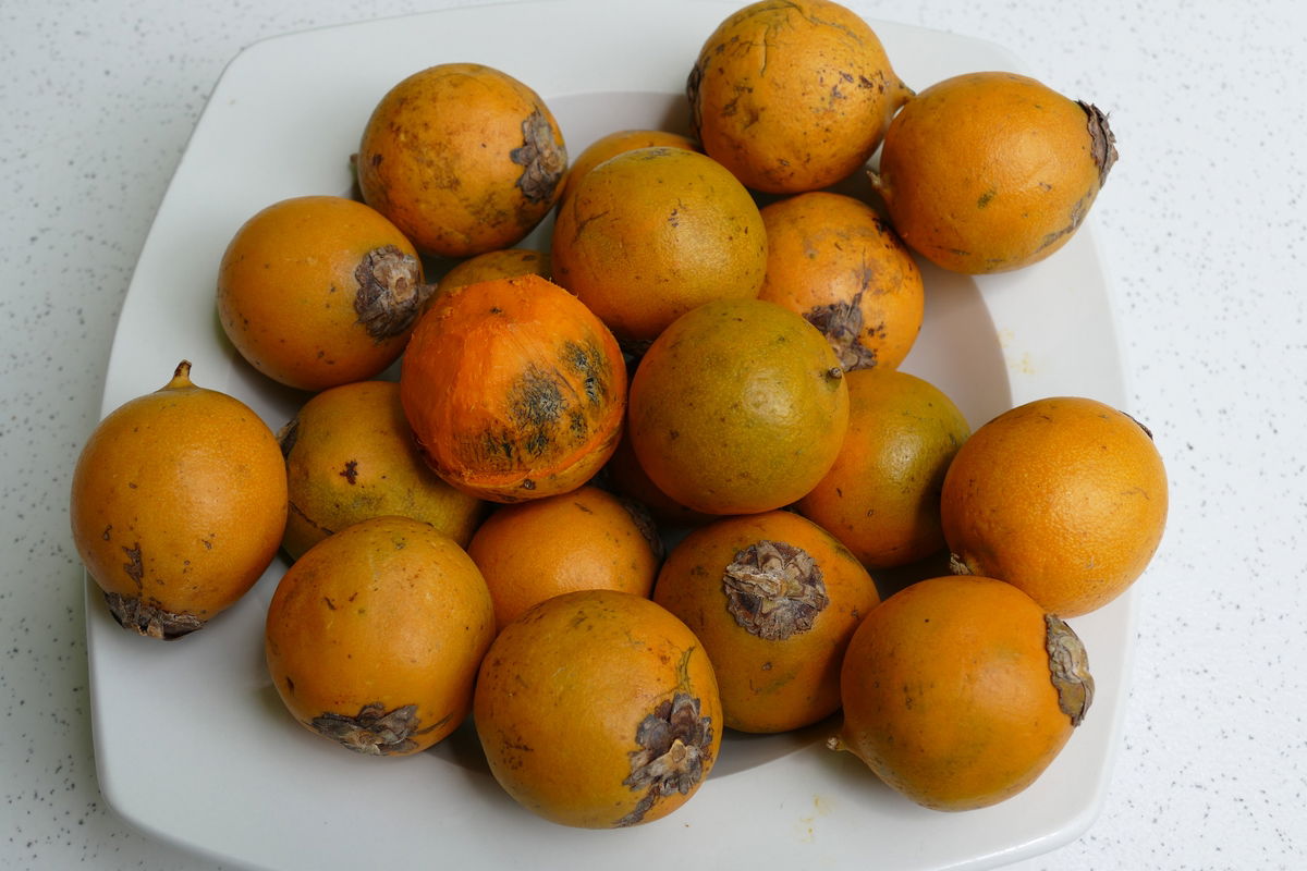 Tucumã: 5 benefícios e como usar (com receitas) - Tua Saúde