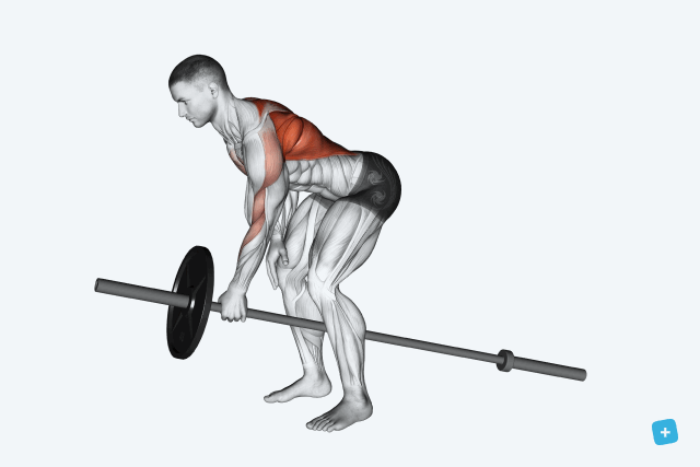 Complete Back Workout: 12 Back Exercises for the Gym (w/ Demos) - Tua Saúde