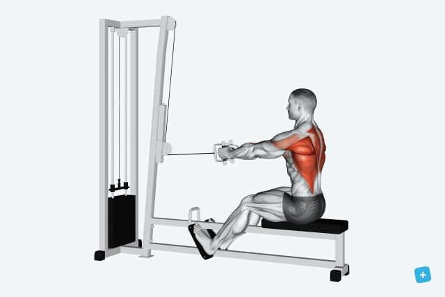 Complete Back Workout: 12 Back Exercises for the Gym (w/ Demos) - Tua Saúde